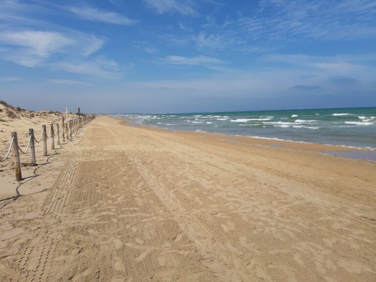 Playa «Els Tossals» – ANVA – Asociación Naturista Valenciana